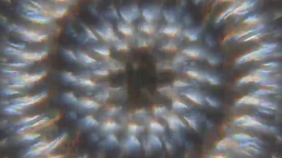 At Artspace, Jason Ting Finds The Spark